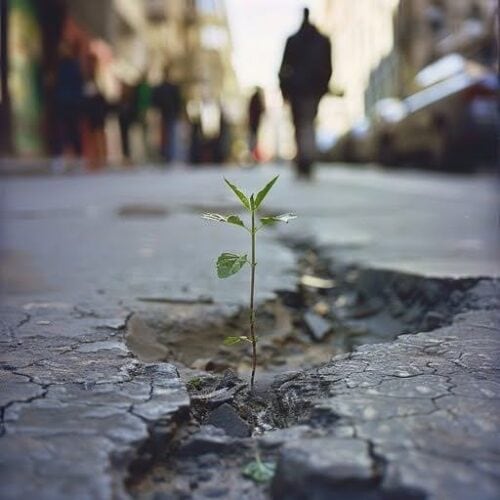 Suffering For Your Faith: Lessons From 1 Peter 4 - Holy Culture